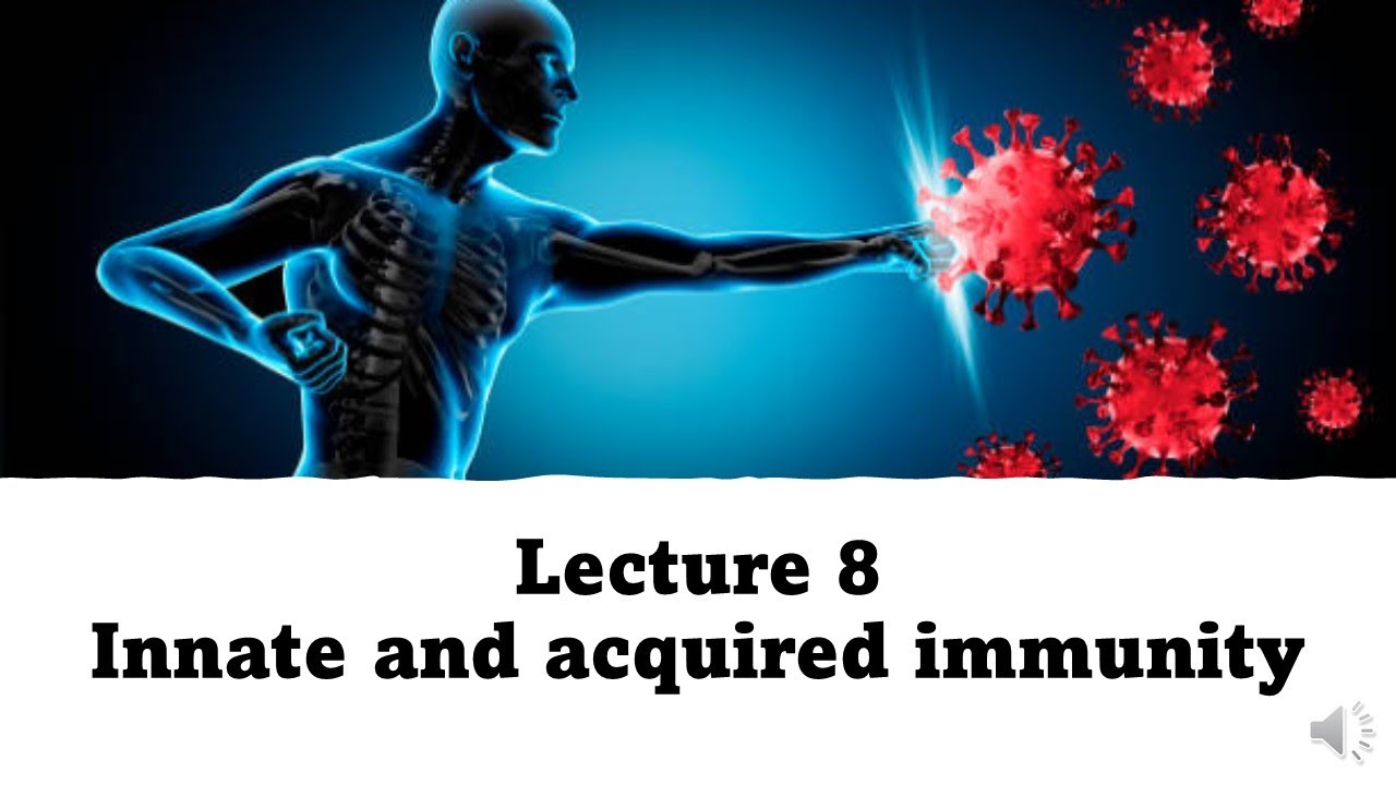 Lecture 8 Immune system - YouTube
