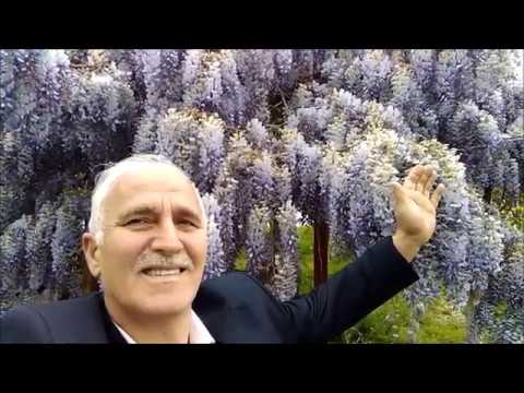 Doğum Günün Kutlu Olsun Güzel İnsan Doğum Günü Kutlama Mesajı