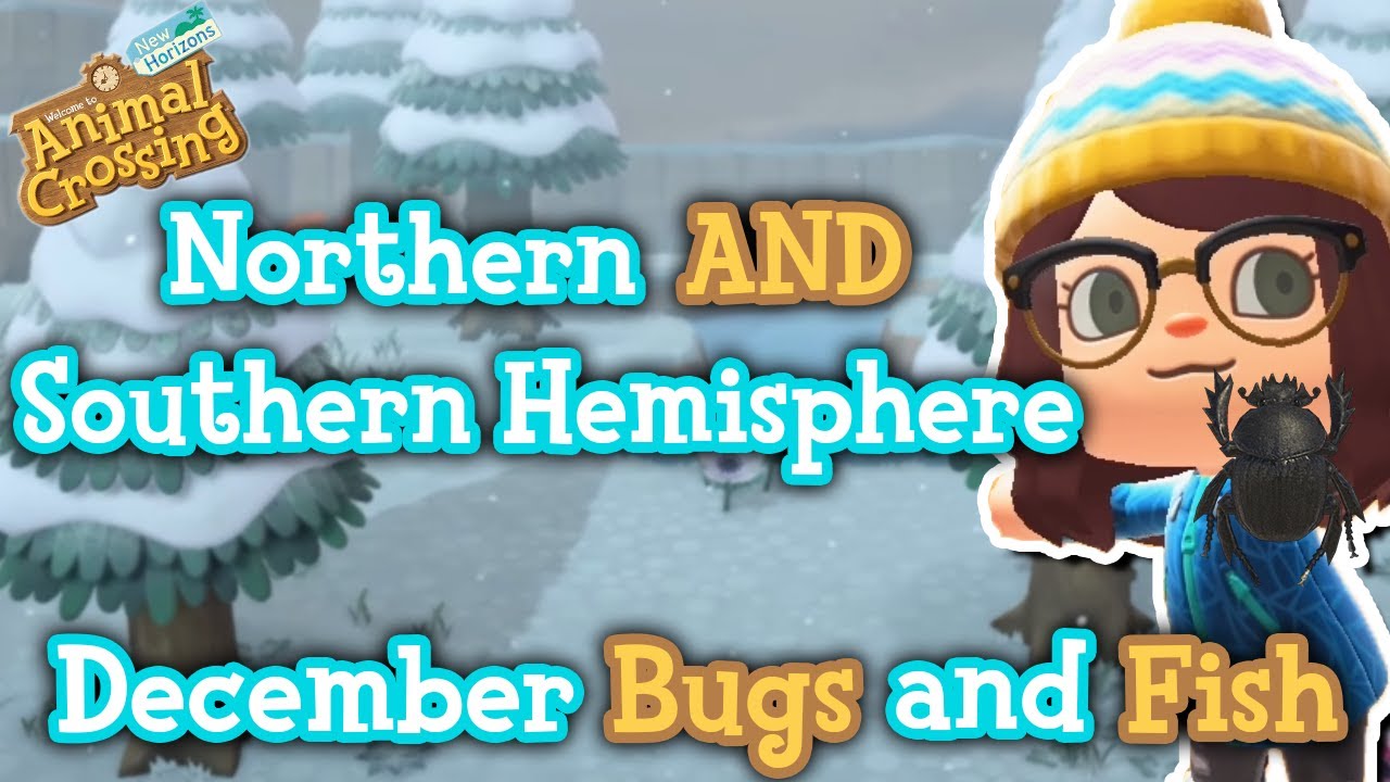 EVERY Bug, Fish and Sea Creature ARRIVING and LEAVING in DECEMBER ...