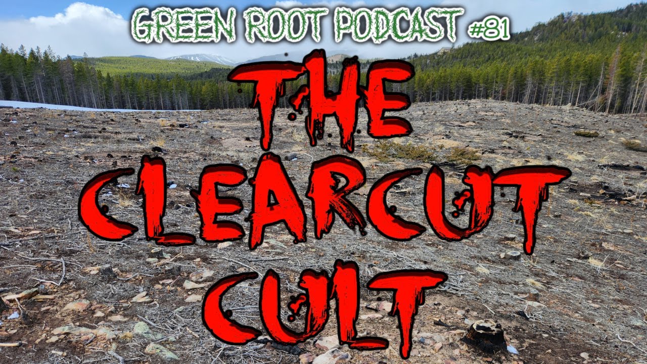 The CLEARCUT Cult - YouTube