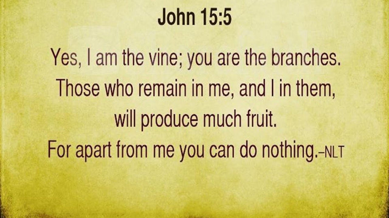 John 15:5, NKJV | John 15 I am the True Vine You are the Branches In Me ...