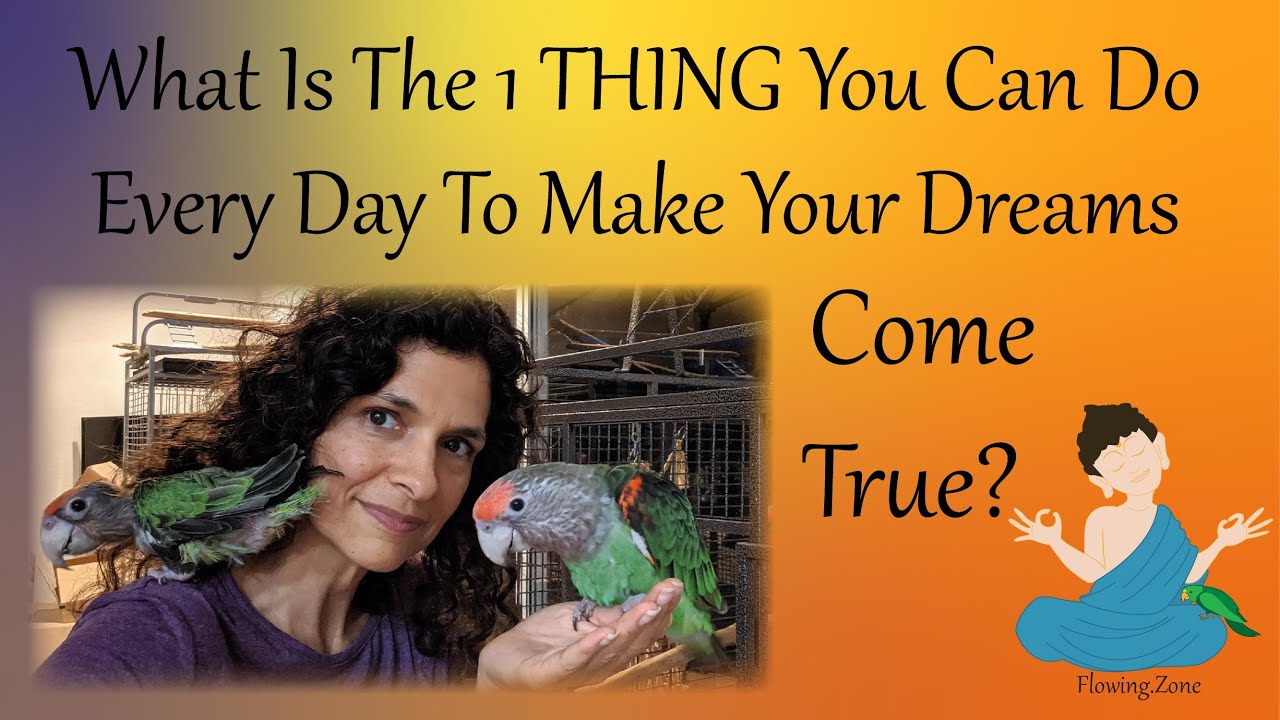 What Is The 1 THING You Can Do Every Day To Make Your Dreams Come True