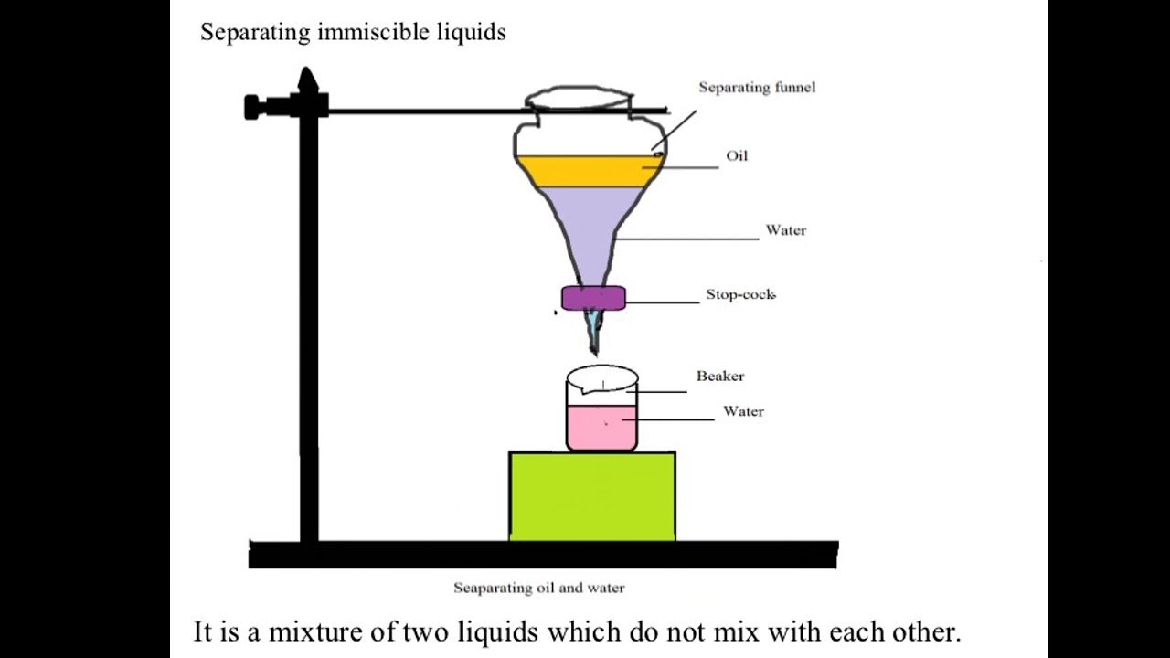6-CLASS-SCIENCE-CHAPTER-5(Part-3) - YouTube