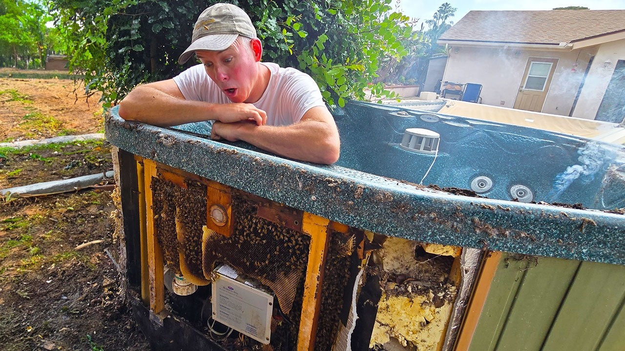 40,000 Bees in a Jacuzzi! - YouTube