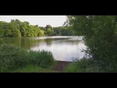 Samsung Galaxy J8 Low Light Video Test Full HD