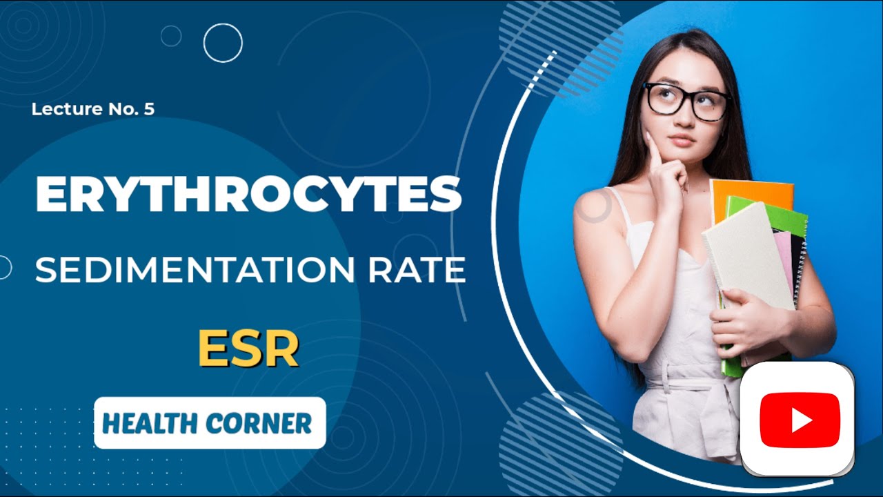 Erythrocyte Sedimentation Rate | ESR | interpretation of clinical ...