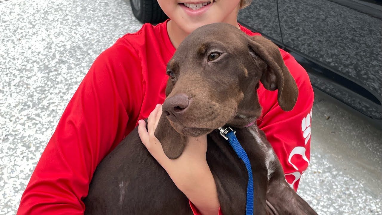 my new dog! - YouTube