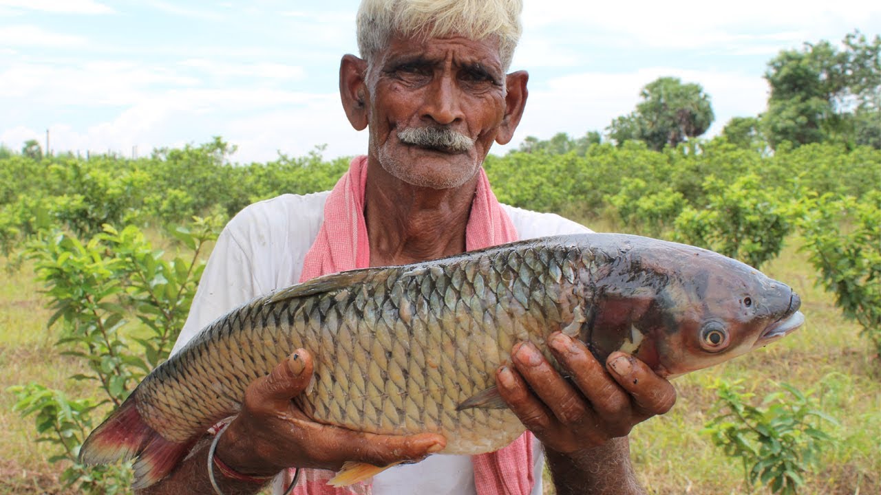 How to Make Big Fish Fry Recipe By Grandpa village | #BigFishFry | # ...