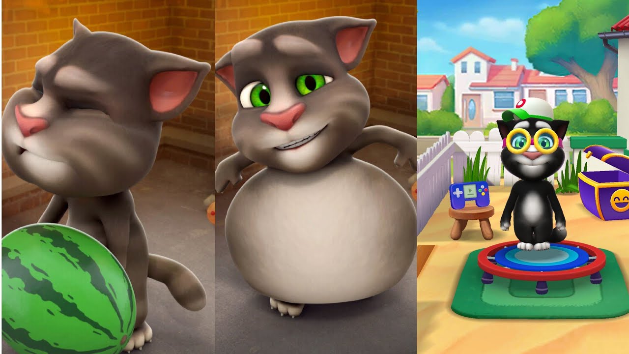 My Talking Tom New Viral Funny video #talkingtom #viral #funny - YouTube