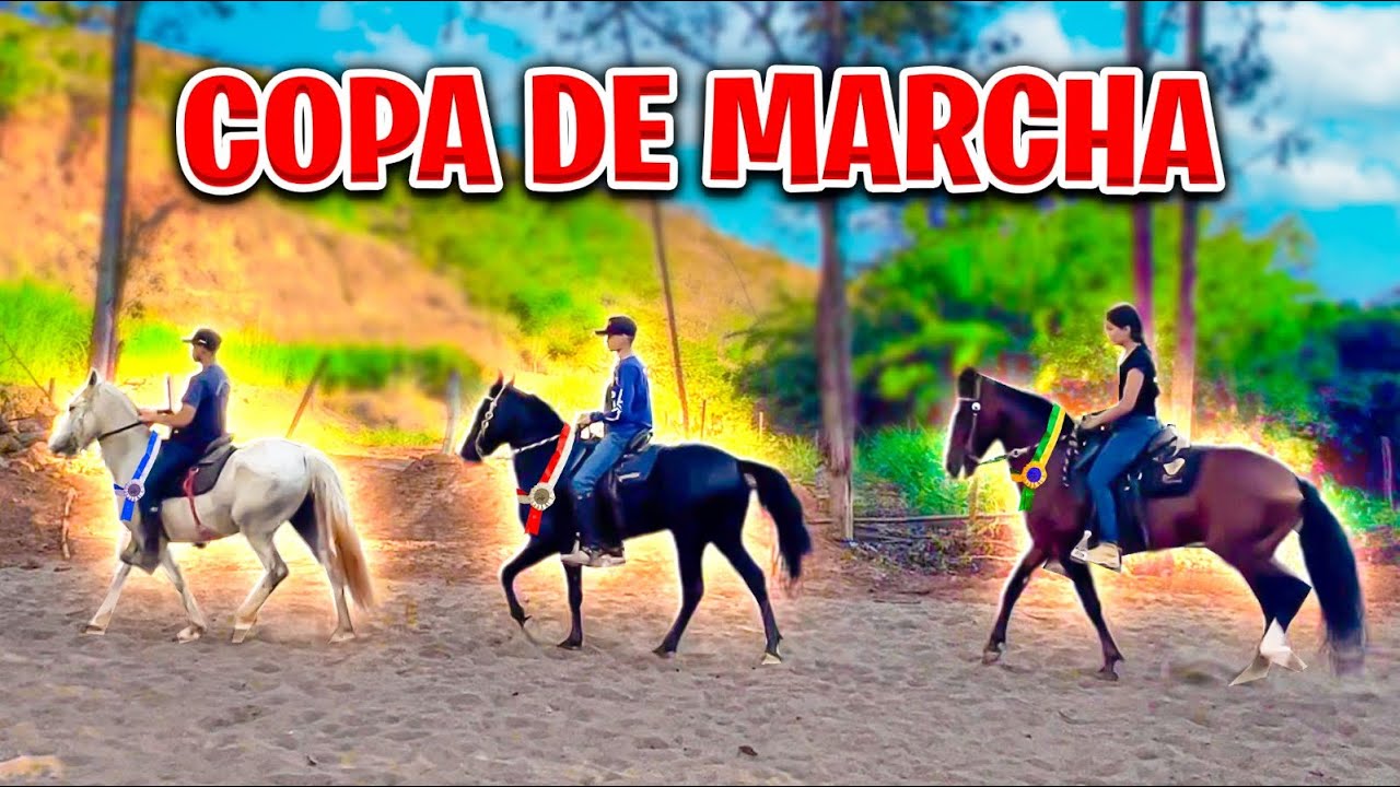 COPA de MARCHA no HARAS do PEPÊ - YouTube