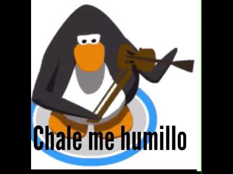 Chale me humillo 😱😱😭😭 - YouTube