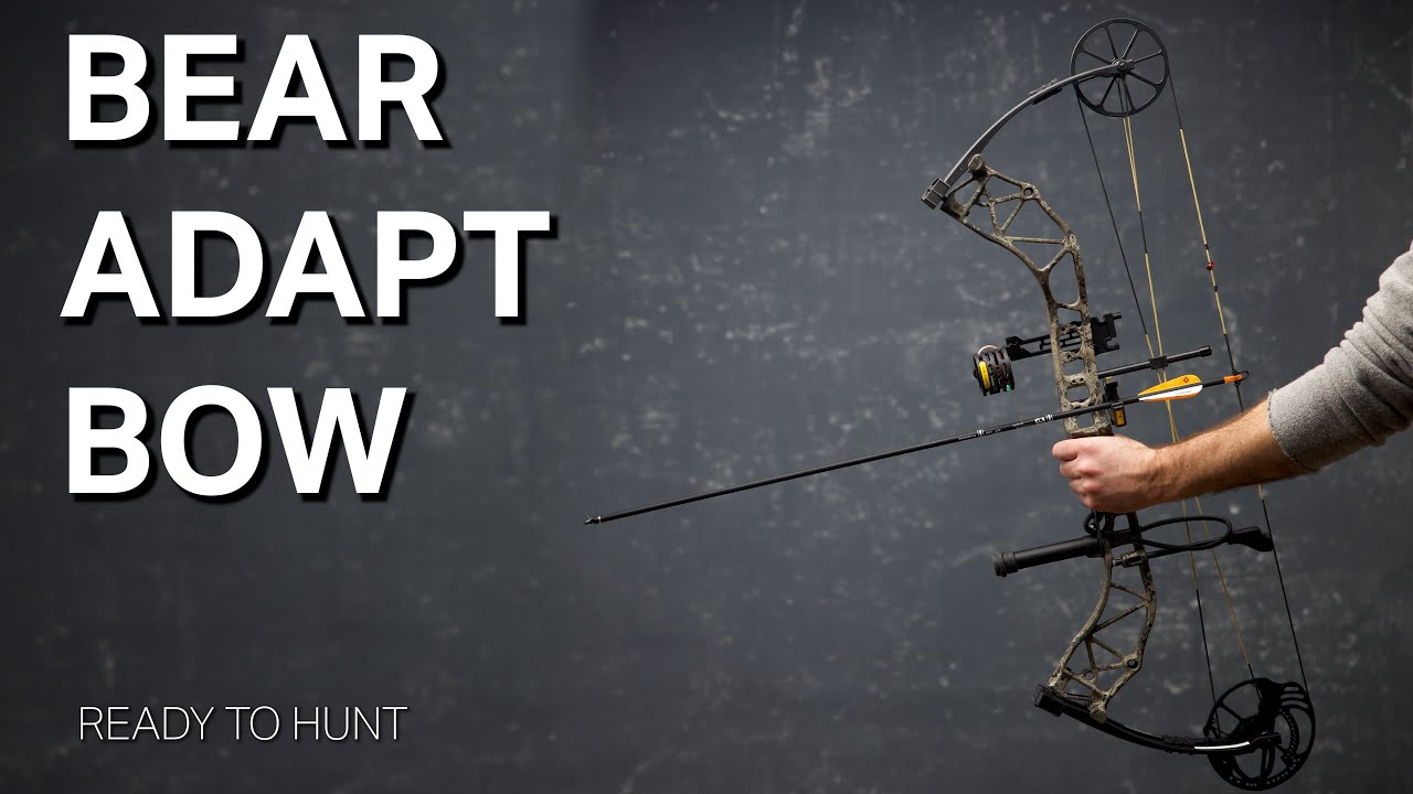 My First Bow- Bear Adapt - YouTube