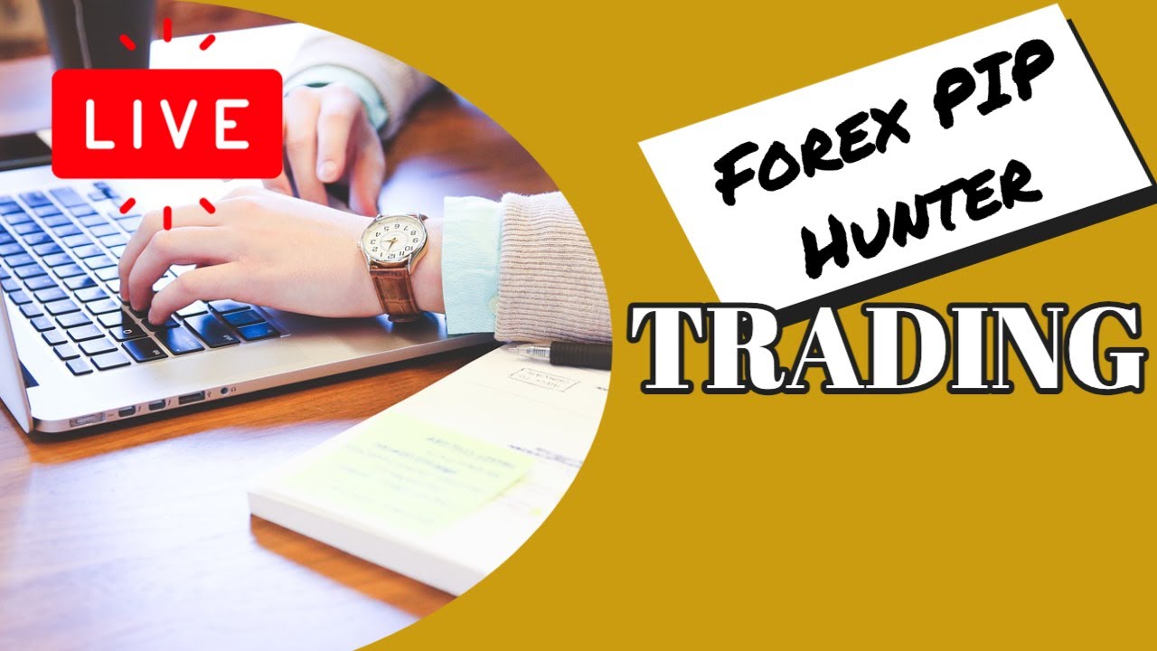 How to Make $200 a Trade [Forex Pip Hunter LIVE Forex Show] - YouTube