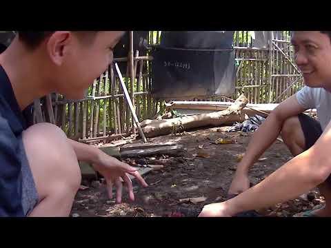 BELAJAR MENYEMBELIH YAMYAM - YouTube