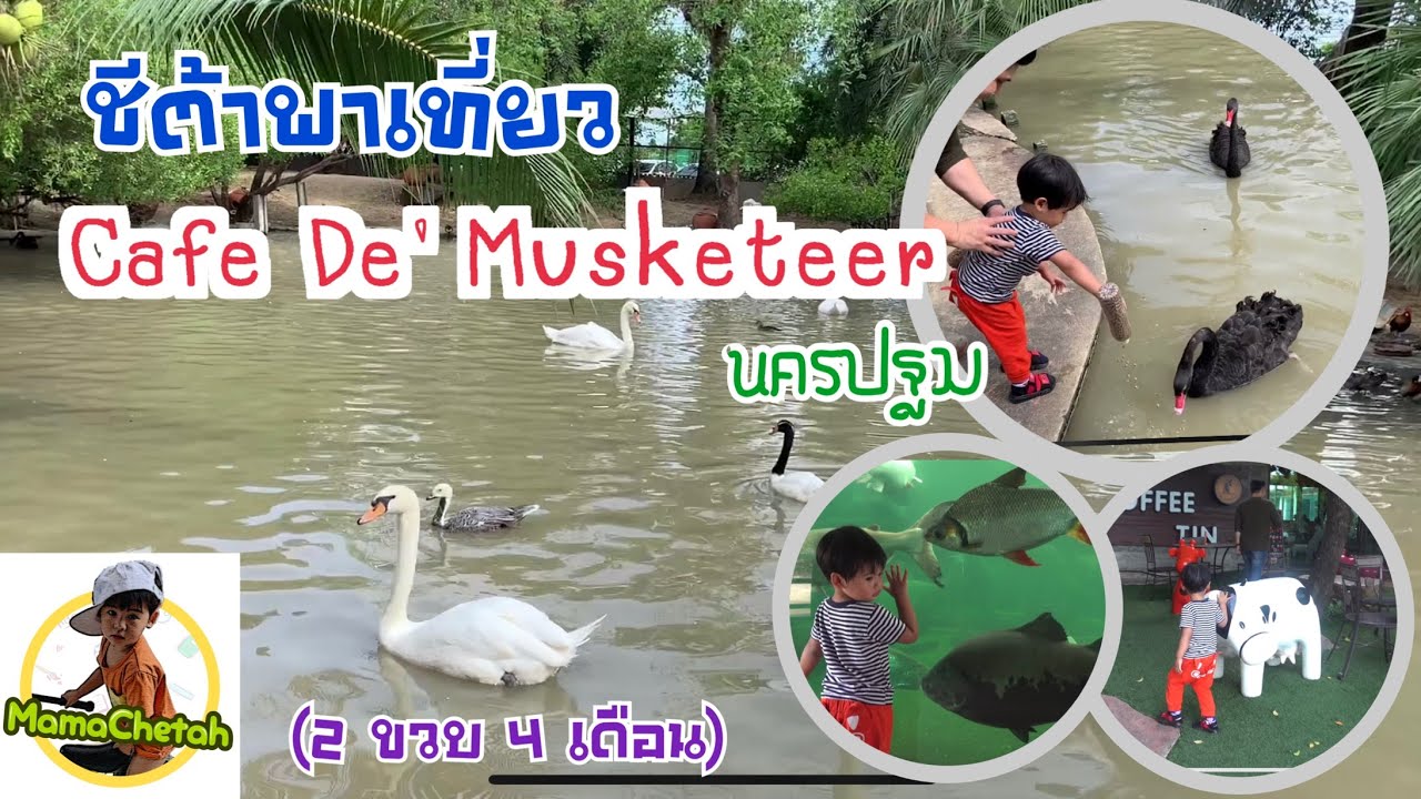 Cafe De Musketeer นี่มันคาเฟ่หรือสวนสัตว์กันแน่ !!! / พาลูกเที่ยว - YouTube