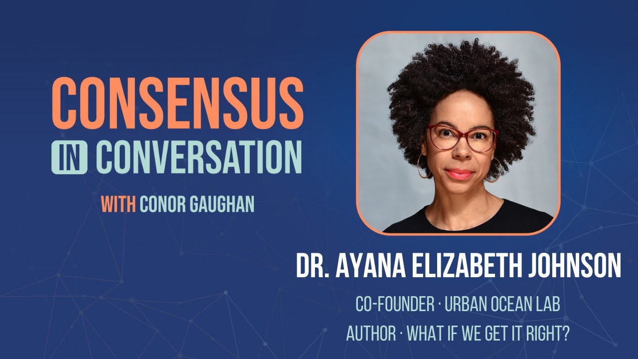 Dr. Ayana Elizabeth Johnson on Her New Book: What If We Get It Right ...