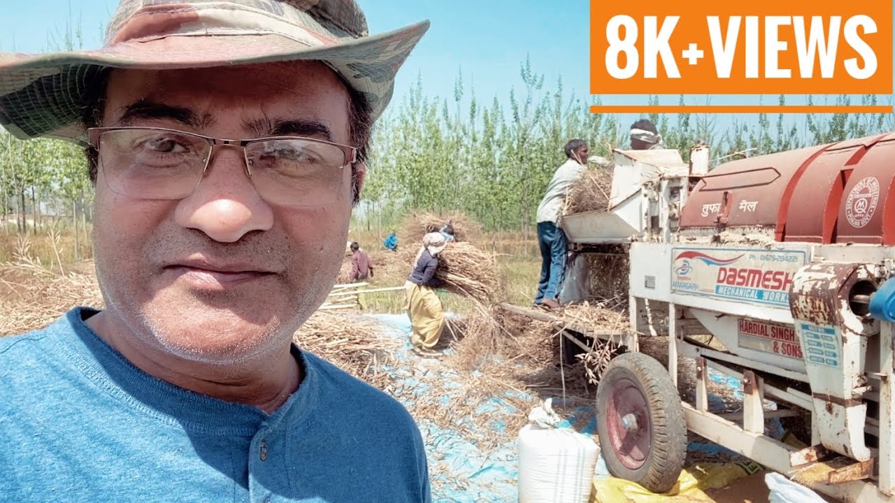 Sarson ka Safar | Mustard Oil - Farm to Kitchen | MD Tyagi Vlogs - YouTube