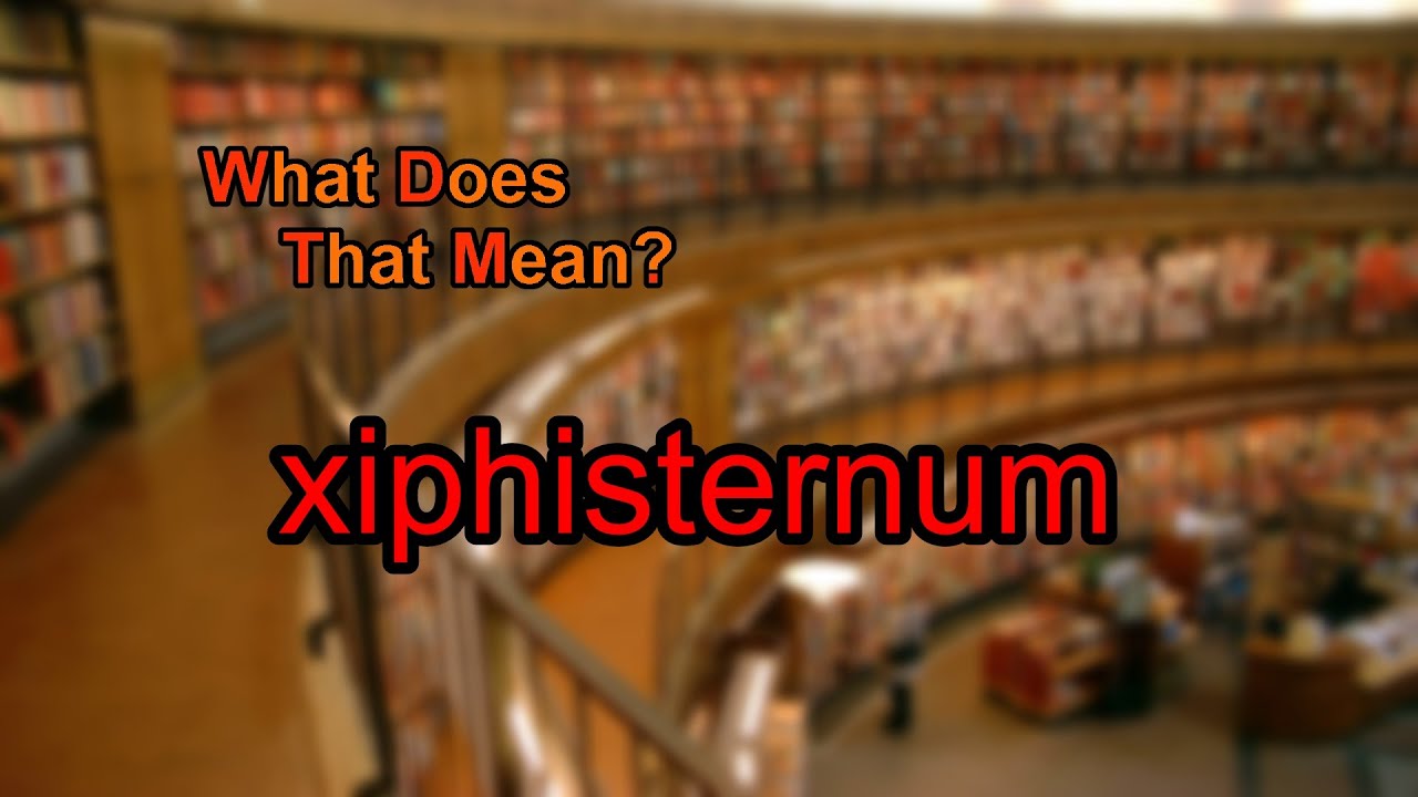 What does xiphisternum mean? - YouTube