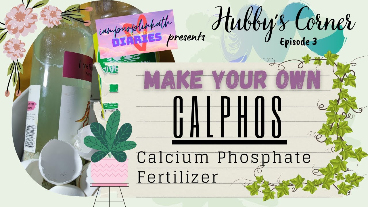 HOW TO MAKE YOUR OWN CALPHOS FERTILIZER | HUBBY'S CORNER (episode 3 ...