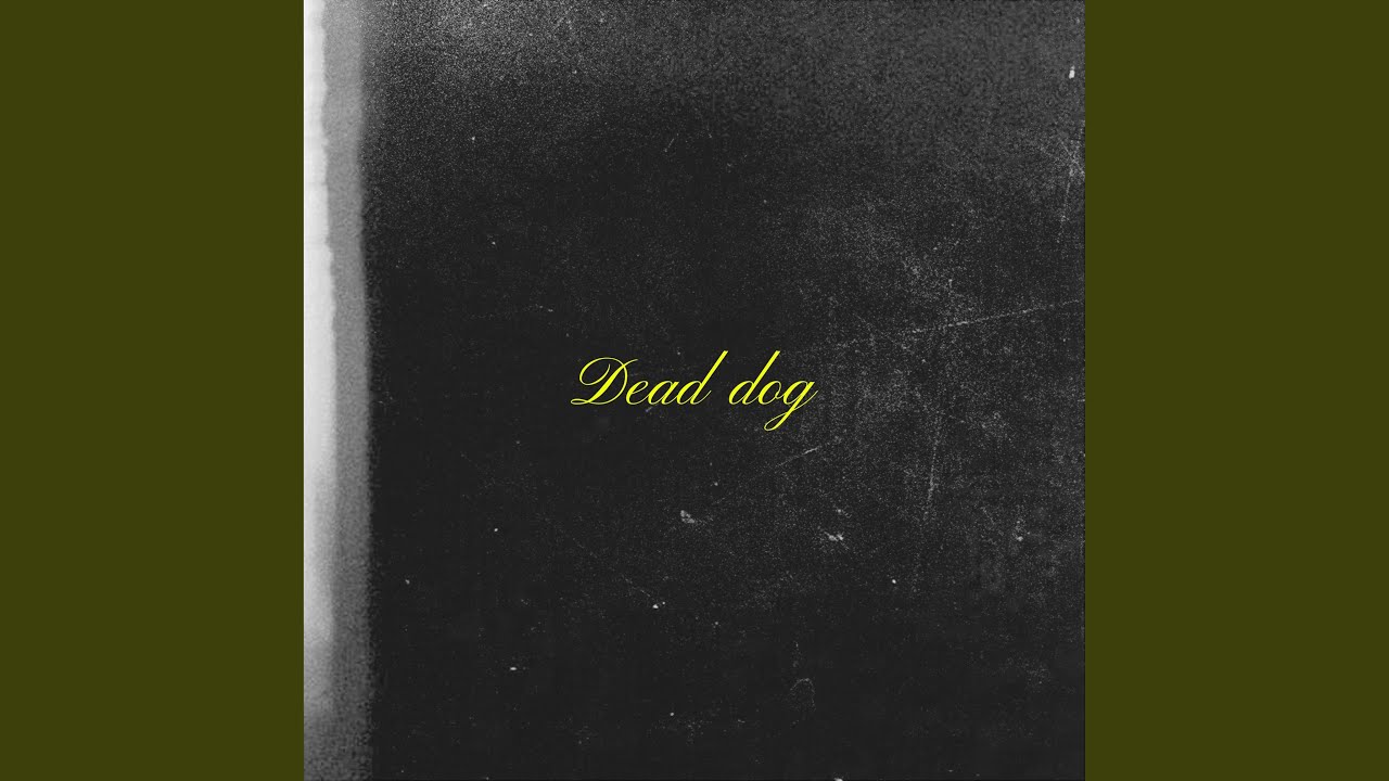 Dead Dog - YouTube