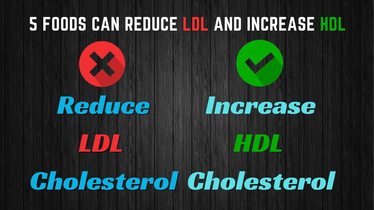5 Foods can Reduce LDL Cholesterol and Increase HDL Cholesterol ...