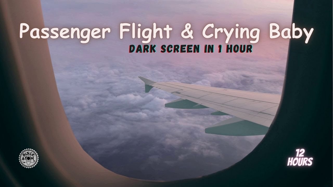 Relaxing Flight Ambience for Sleep ⨀ Soothing Airplane White Noise with ...
