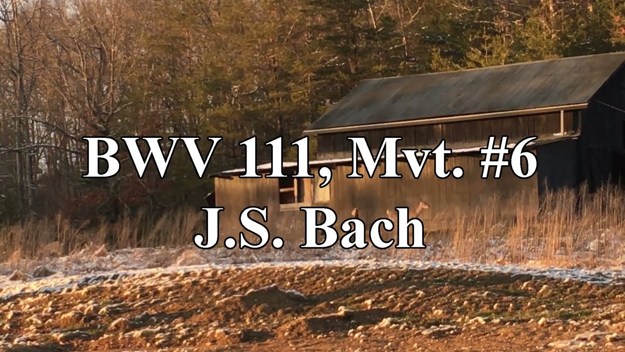BWV 111, Mvt. #6 - J.S. Bach - YouTube