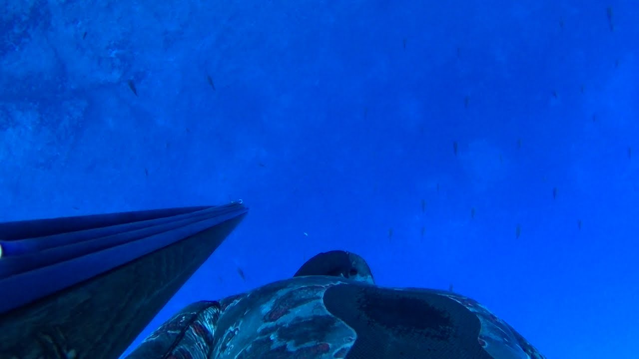 synagrida 2,4 kg 11.7.20 - YouTube