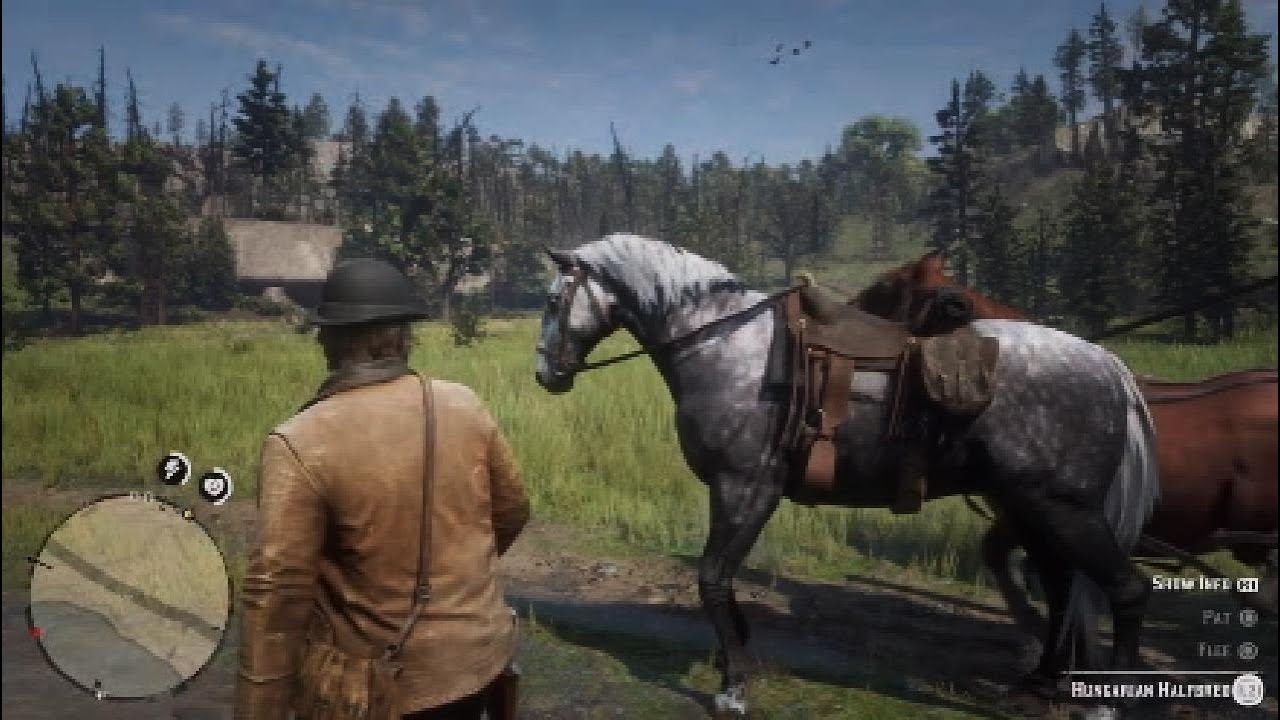 Red Dead Redemption 2 - "Look At This Horse I Got" - YouTube
