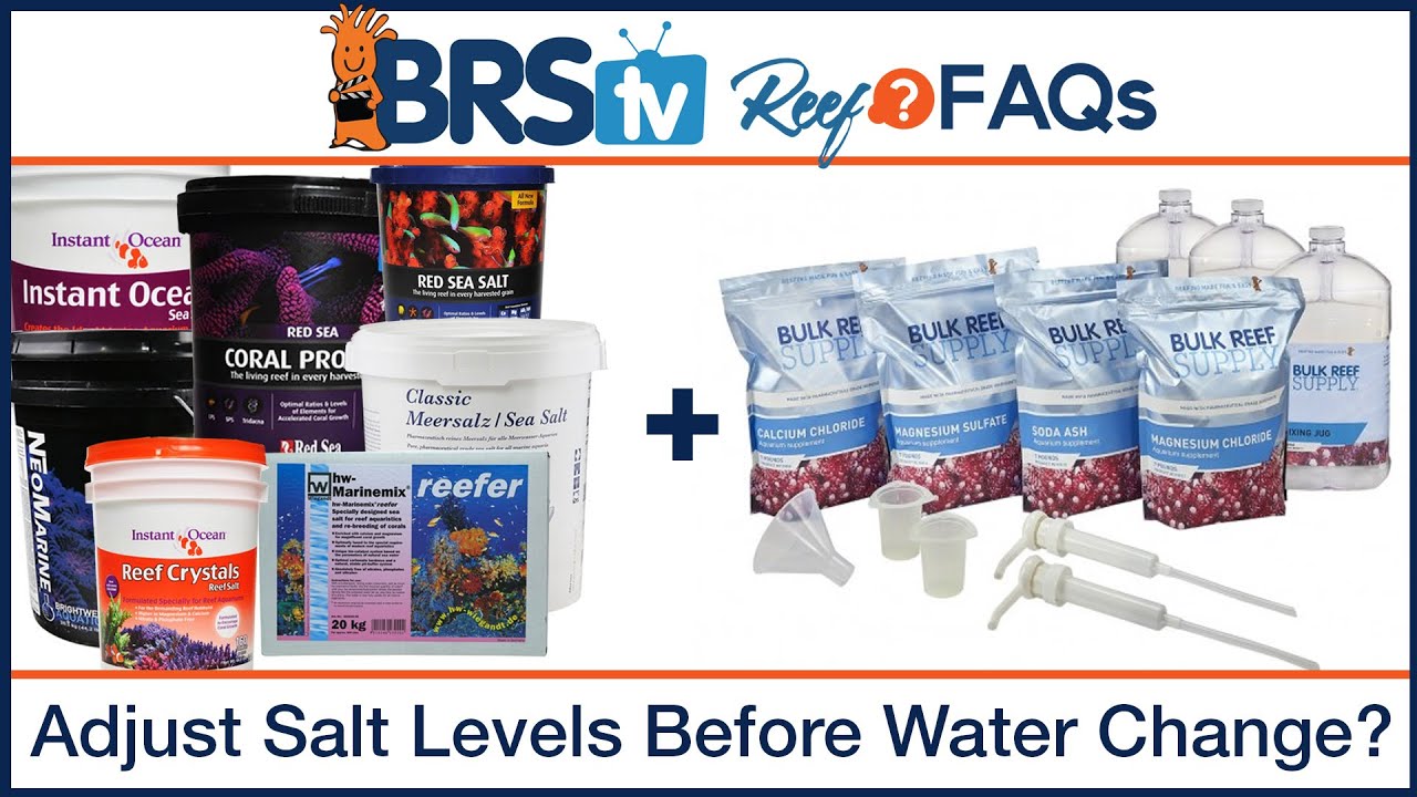 Adjusting the levels of your saltwater mix prior to use in the reef ...