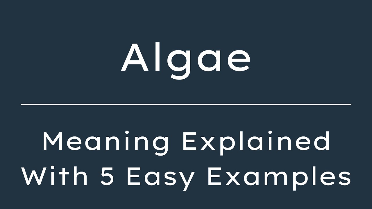 What Does Algae Mean? Algae Meaning in English With 5 Example Sentences ...