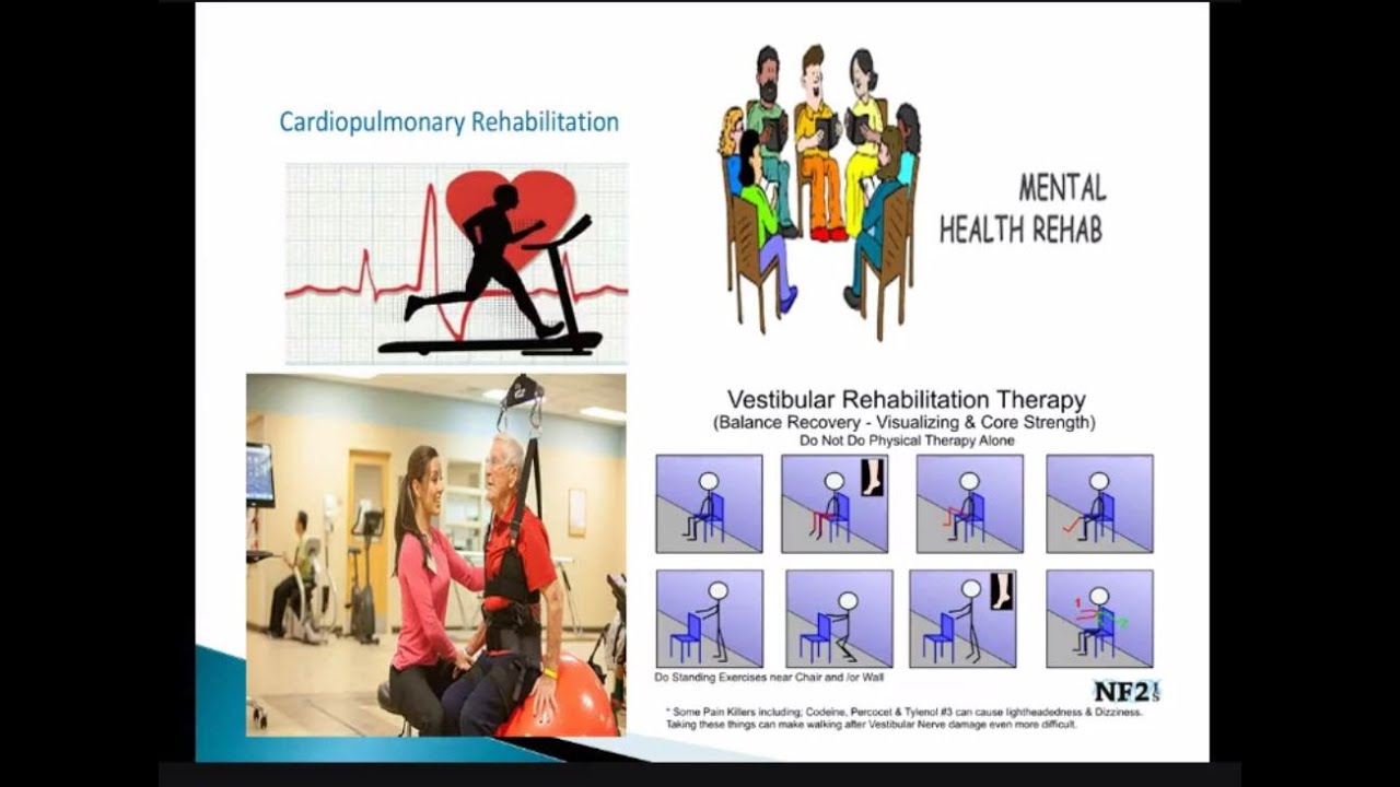 Basics of Rehabilitation | Types of Rehabilitation Dealing with ...