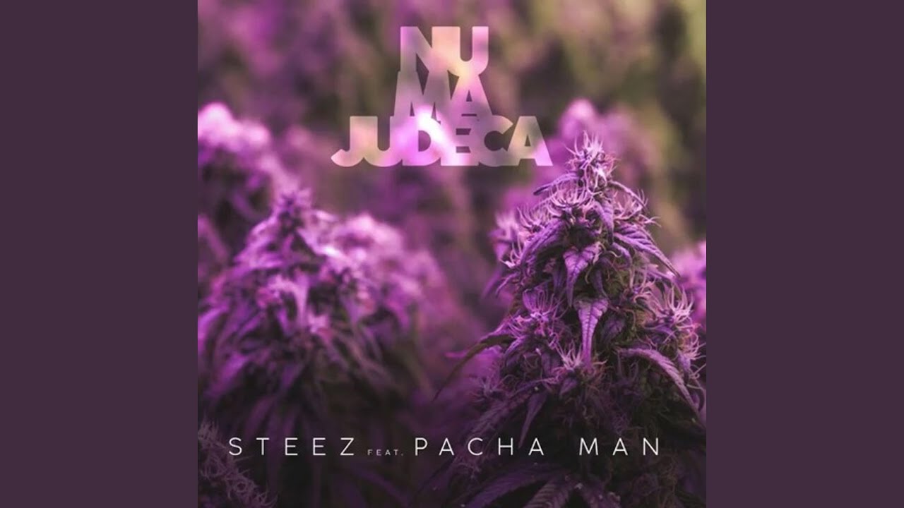 Nu mă judeca (feat. Pacha Man) - YouTube