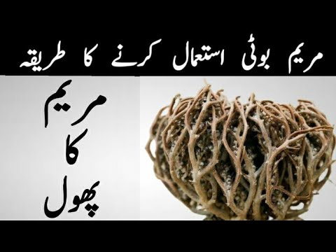 How To Use Maryam Booti??? - YouTube
