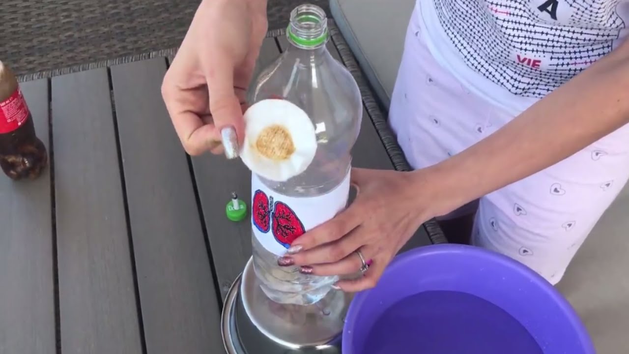 Cigarette Experiment | Smooking Kills | Unknown Facts - YouTube