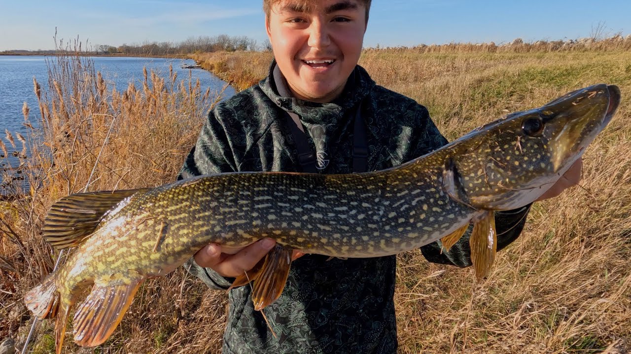 Ohio Pike and Bass Fishing with the Megabass Swim Jig! - YouTube