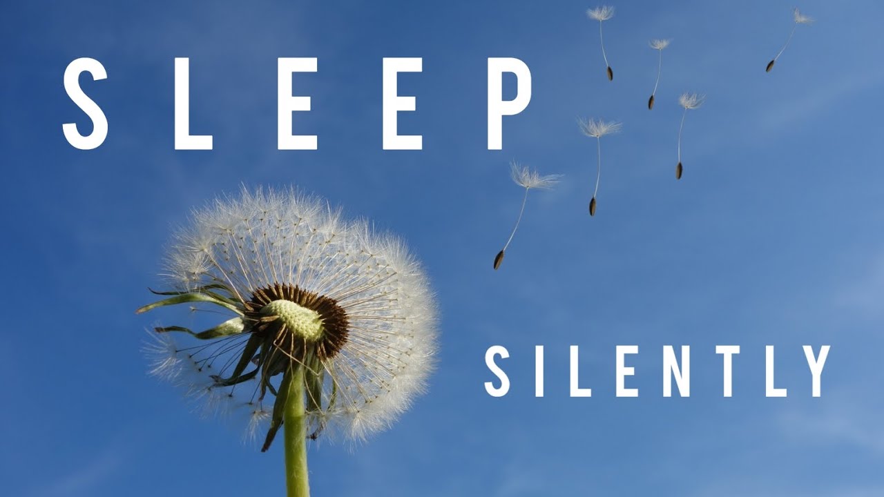 "Blissful Slumber: 1 Hour of Gentle Airflow fr Deep and Restful Sleep ...