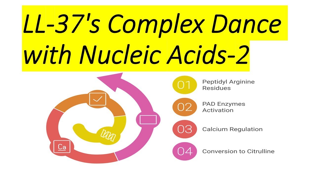 Dr Naglaa Elmongy//"The complex Dance of LL37 and Nucleic Acids in ...