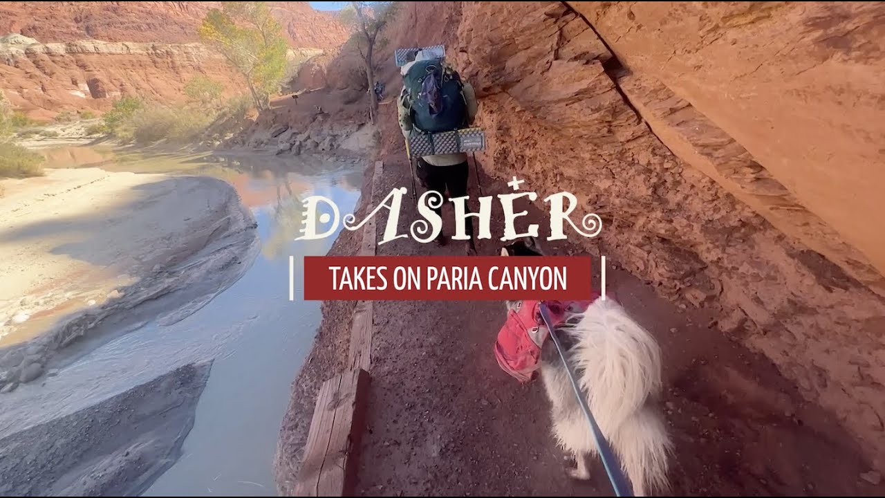 Dasher Explores Paria Canyon | Vermilion Cliffs Wilderness Area - YouTube
