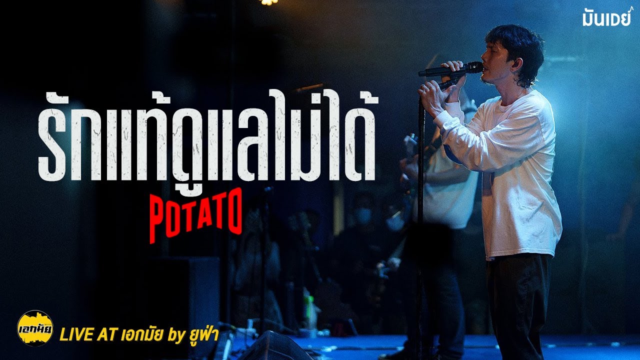 รักแท้ดูแลไม่ได้ l เธอยัง - POTATO 「Live at เอกมัย by ยูฟ่า」 - YouTube