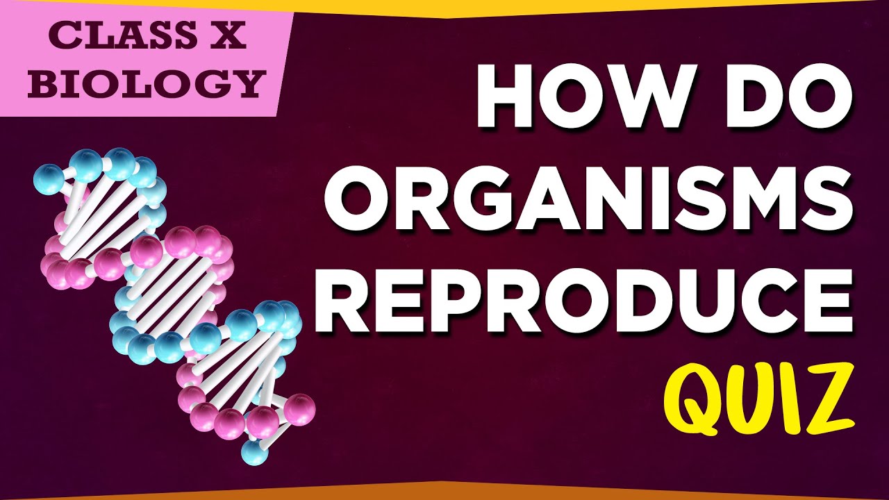Reproduction #quiz | How do organisms reproduce : ncert class 10 ...