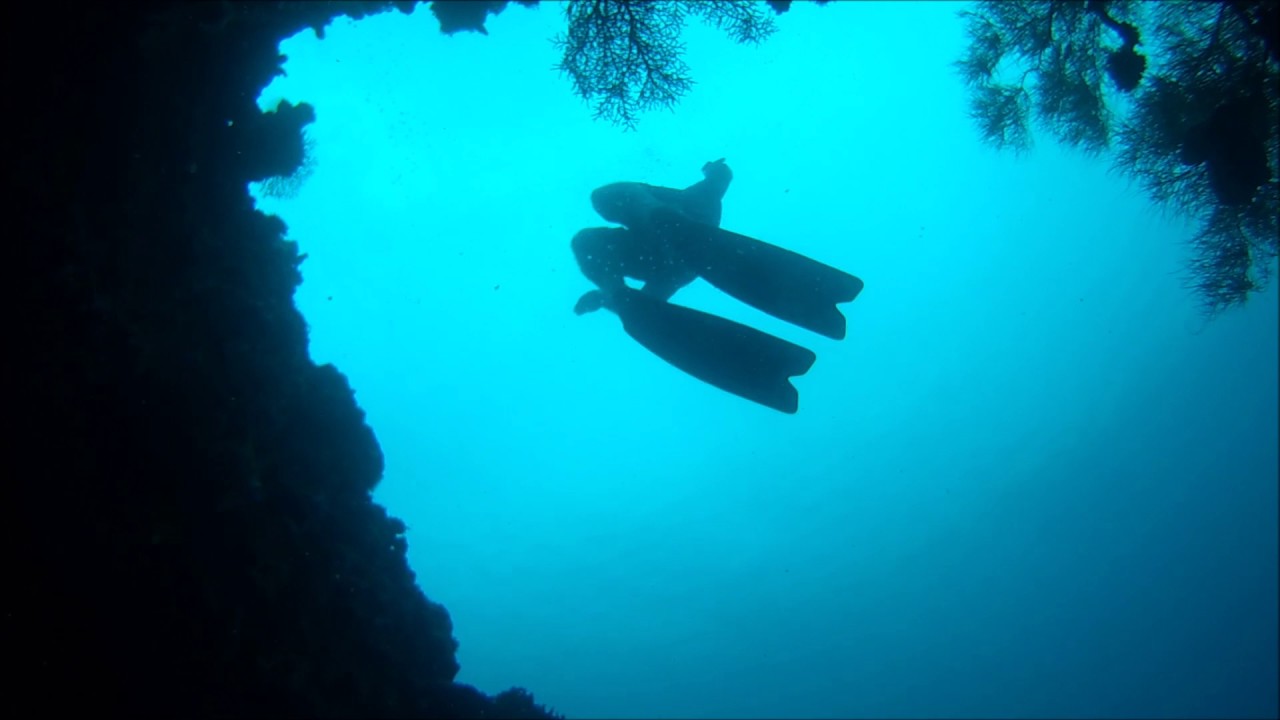 Free Diving with Apnea Bali - YouTube