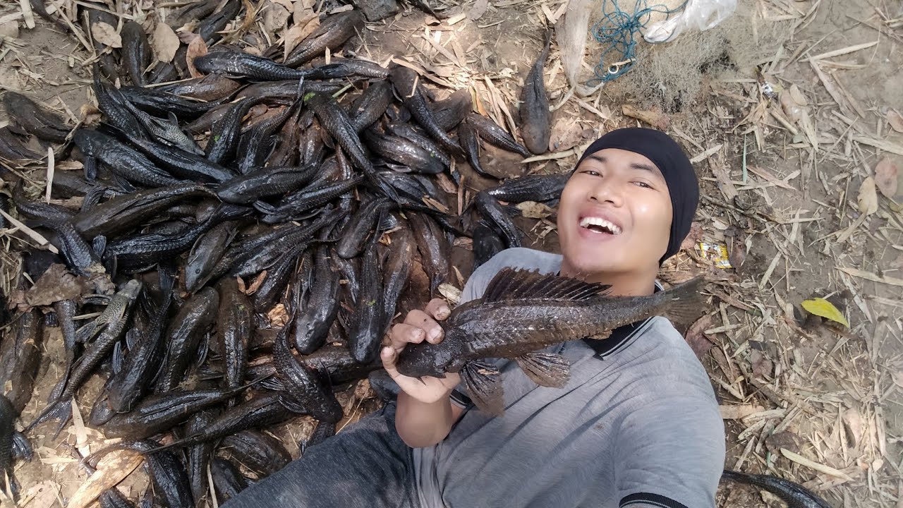 JALA IKAN BAJA HITAM #ikansapusapu #jalaikan - YouTube