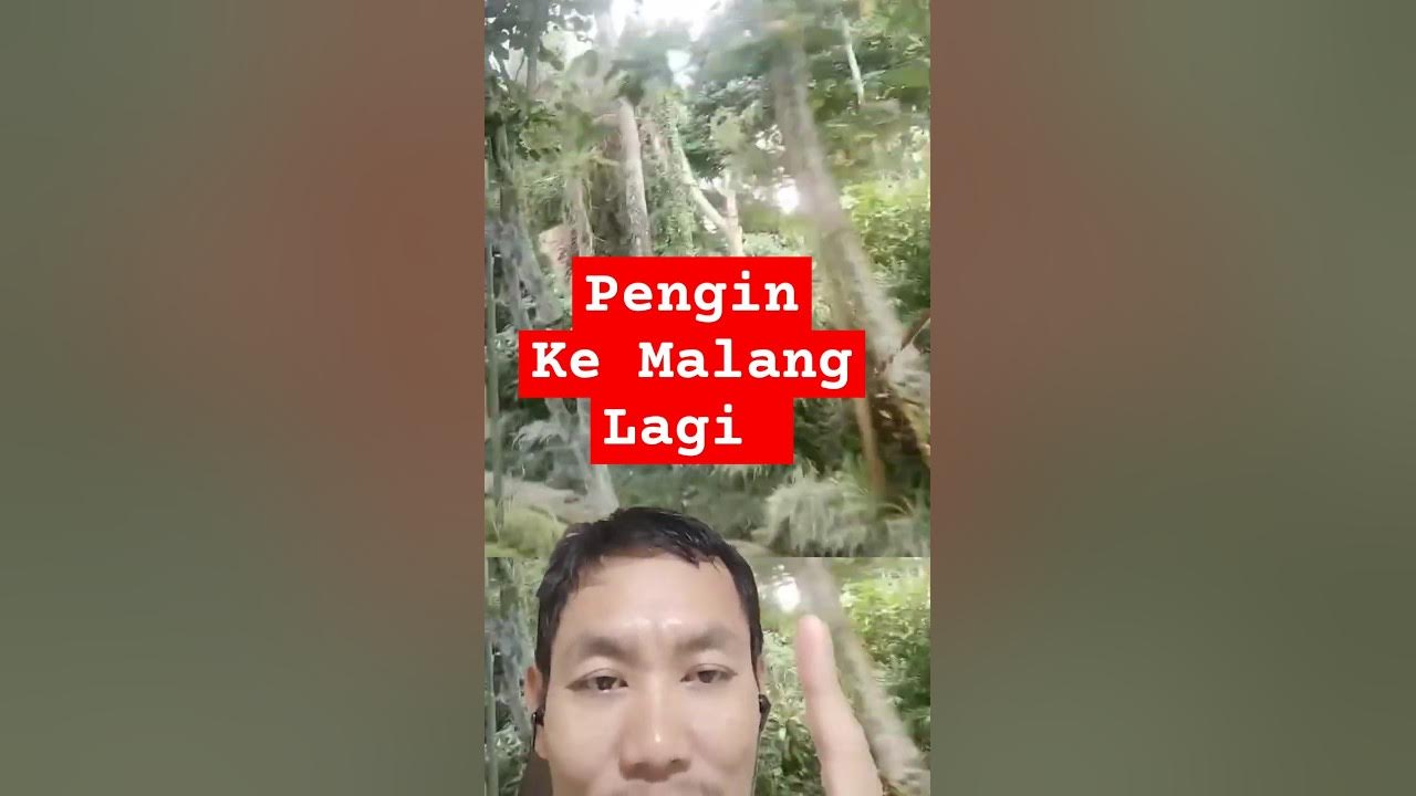 Jadi ingin pergi ke klub bunga malang lagi #shorts #vlog #klubbungamalang - YouTube