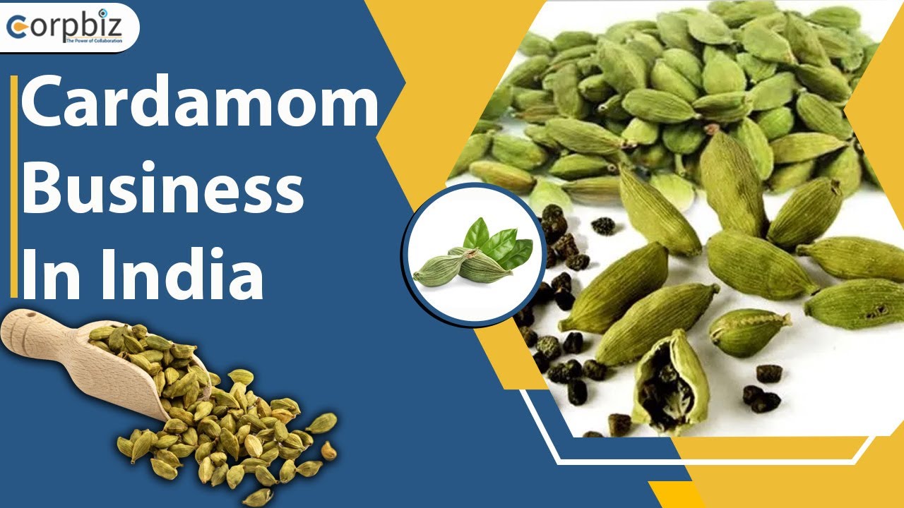 How to Start Cardamom business in India? | Start Cardamom Export ...