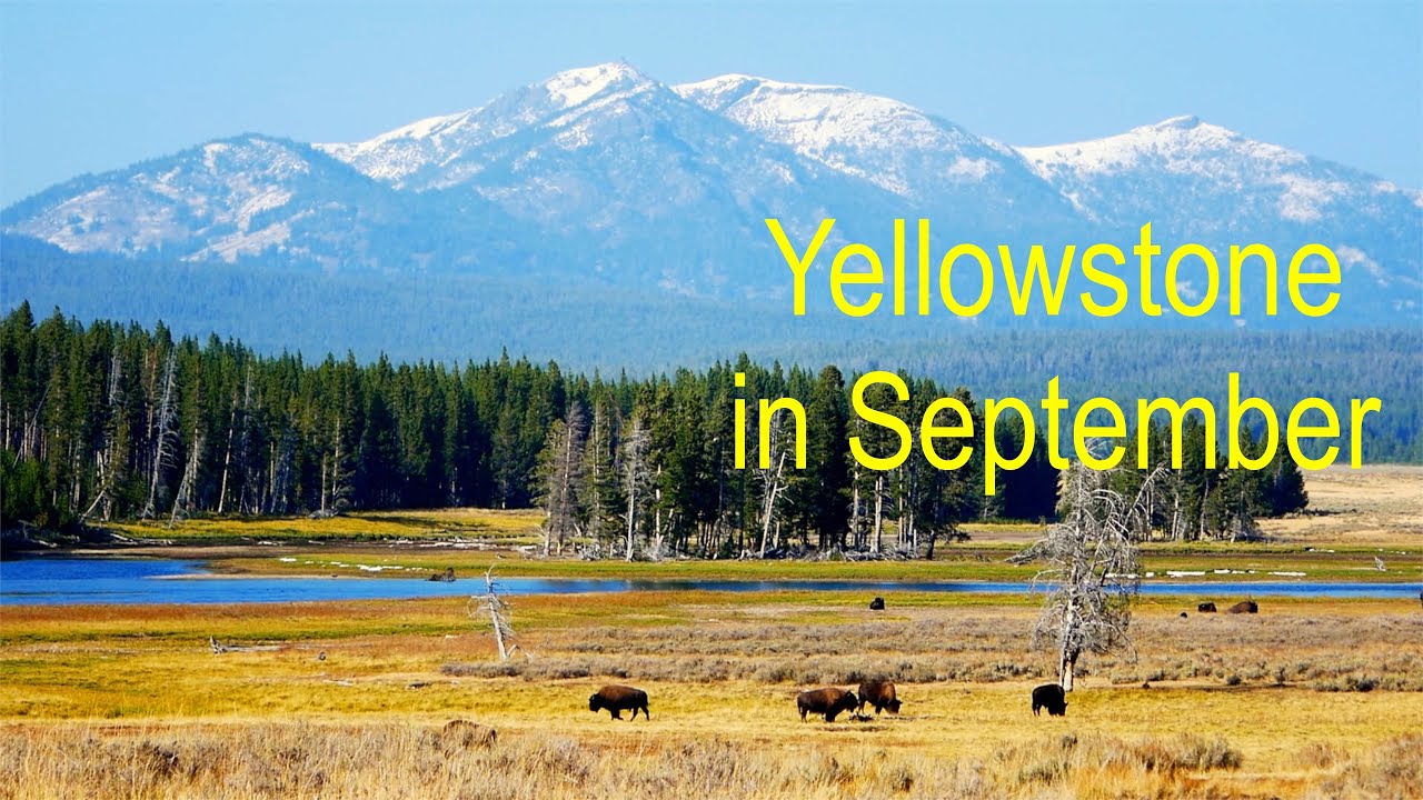 Yellowstone in September 九月的黄石 - YouTube
