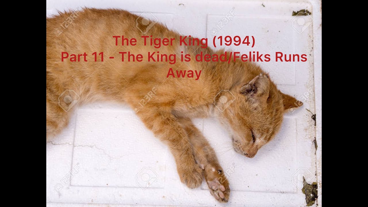 “The Tiger King (1994)” Part 11 - The King Is Dead/Feliks Runs Away ...