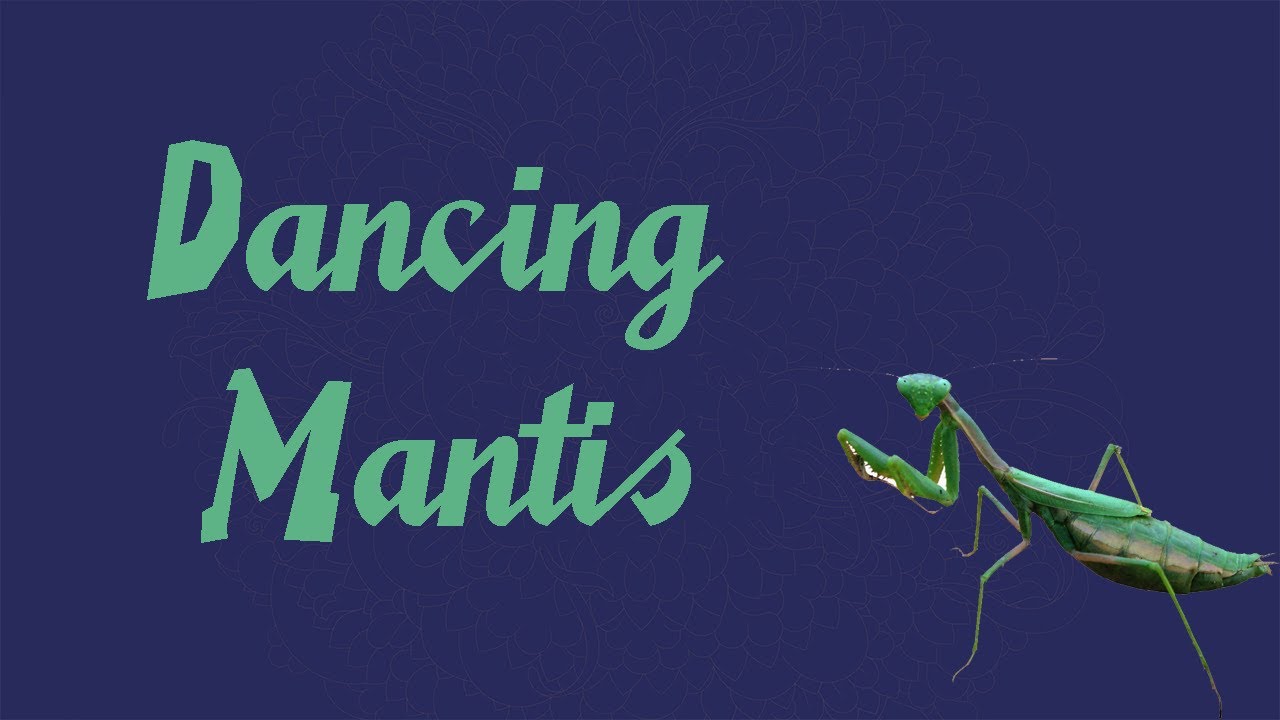Dancing Mantis - YouTube