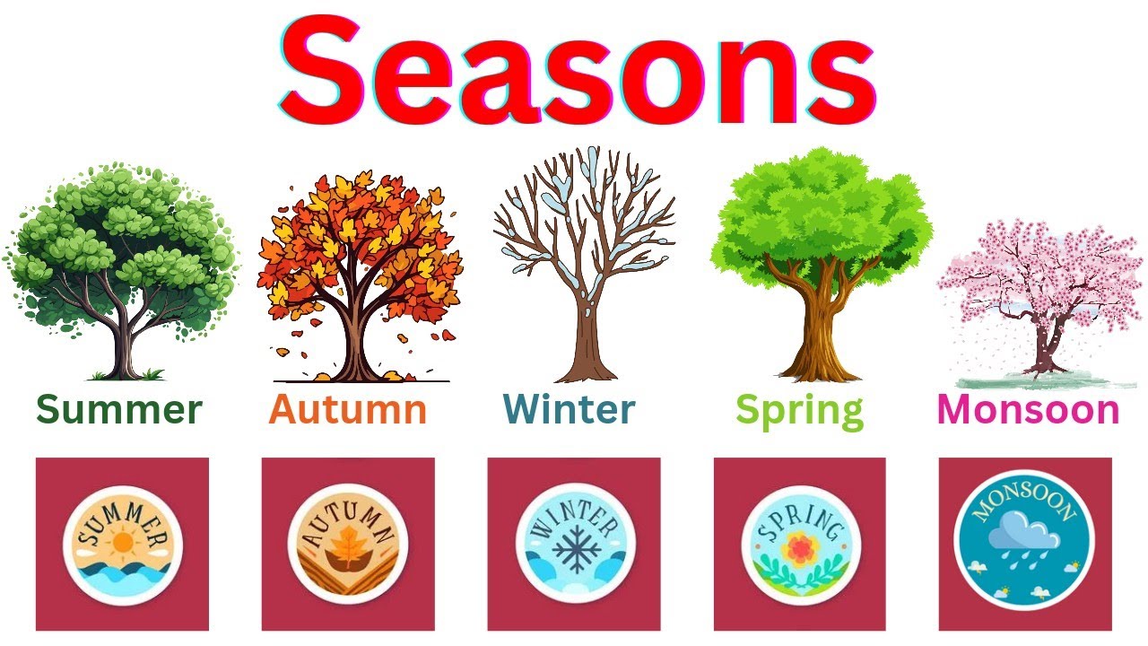 Seasons name | Seasons for kids | Seasons of the year | Five Seasons ...