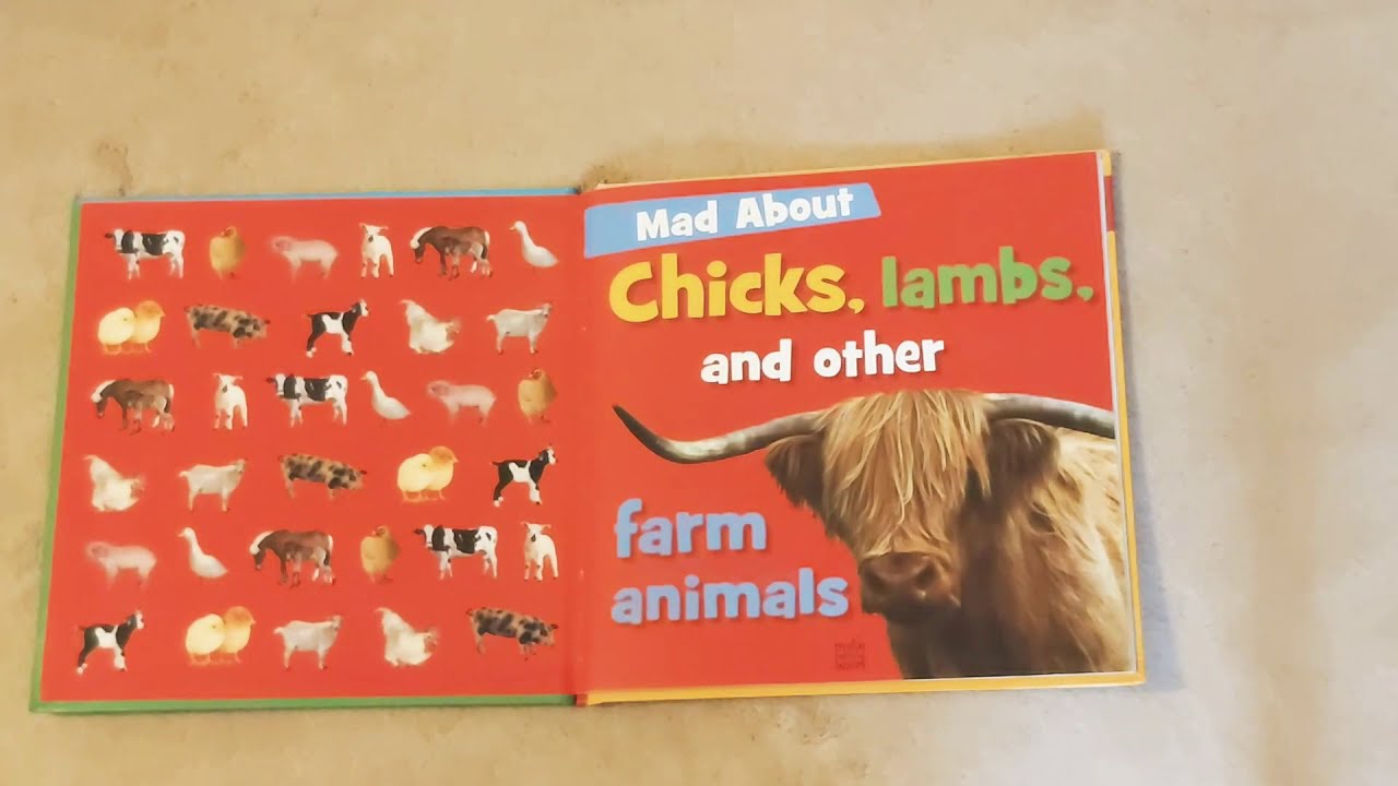 Mad about Farm Animals - YouTube